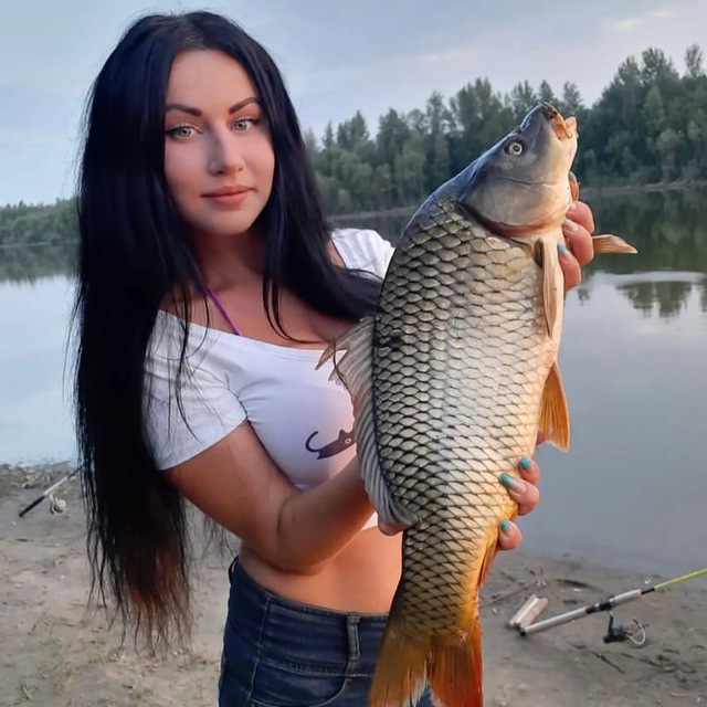 Статистика Telegram-канала "Охота | Рыбалка | Отдых" — @rybalka_okhotnik — TGStat