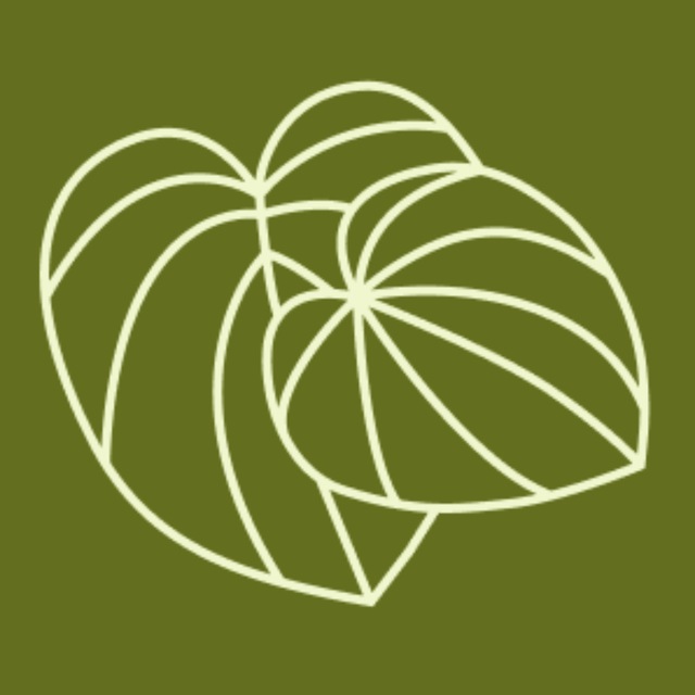 Telegram channel "Растения в фокусе" — @plant_focus — TGStat