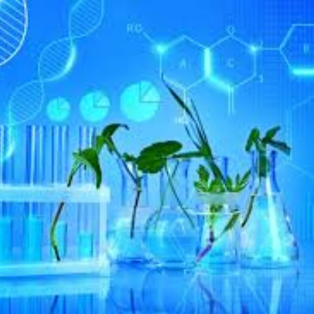 Kimyo Fanidan Testlar