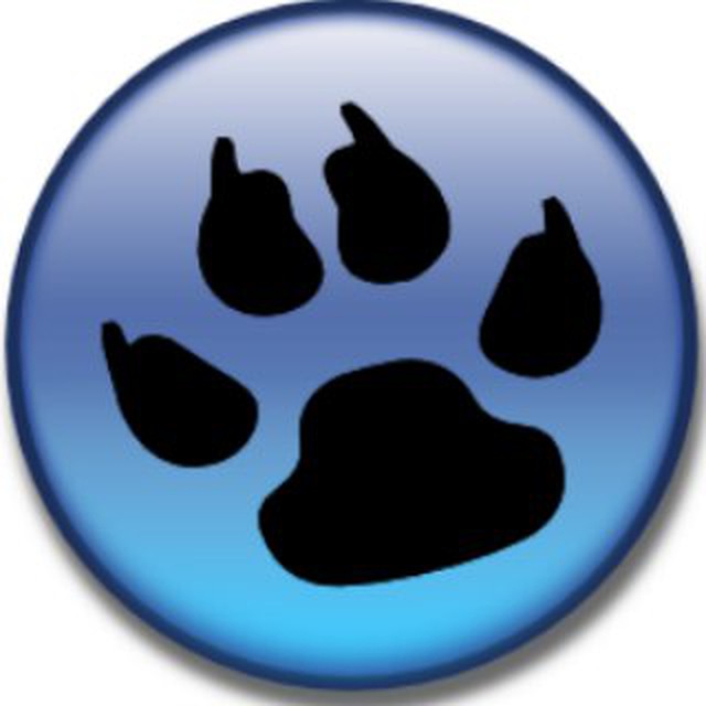 Telegram-chat "Delphi & Lazarus" — @Delphi_Lazarus