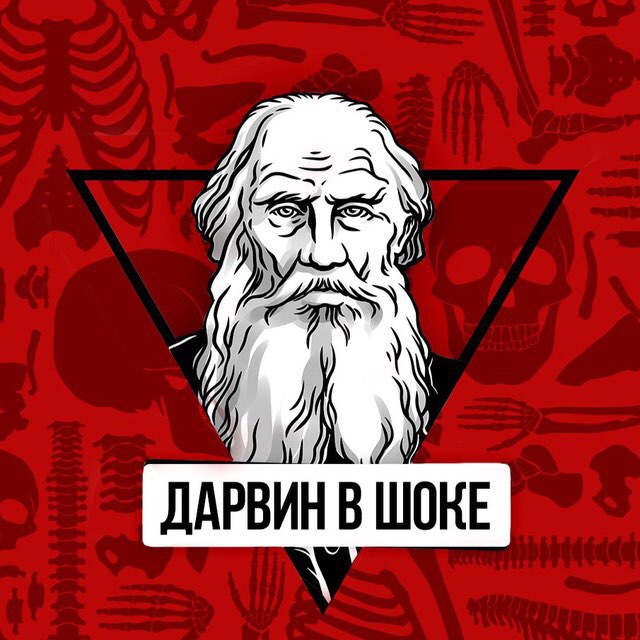 Telegram channel "Дарвин в шоке" — @darvin_v_shoke — TGStat