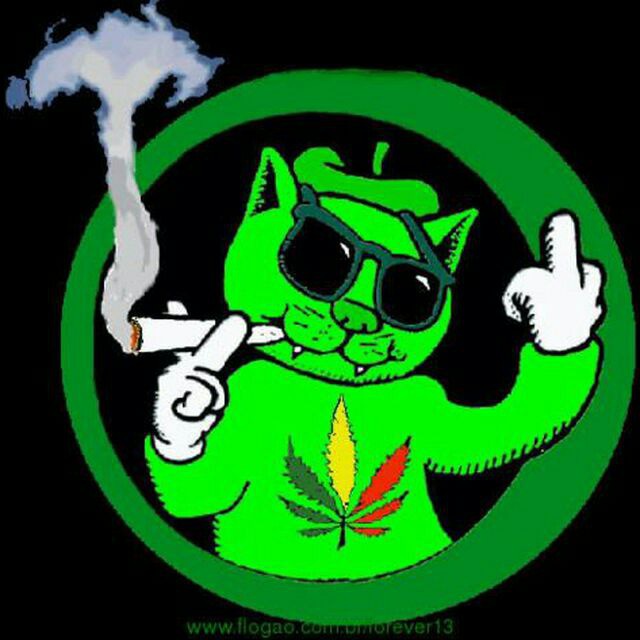 Advertising efficiency — Telegram channel "P̤a̤y̤l̤o̤a̤d̤ e̤ H̤o̤s̤t̤ ...